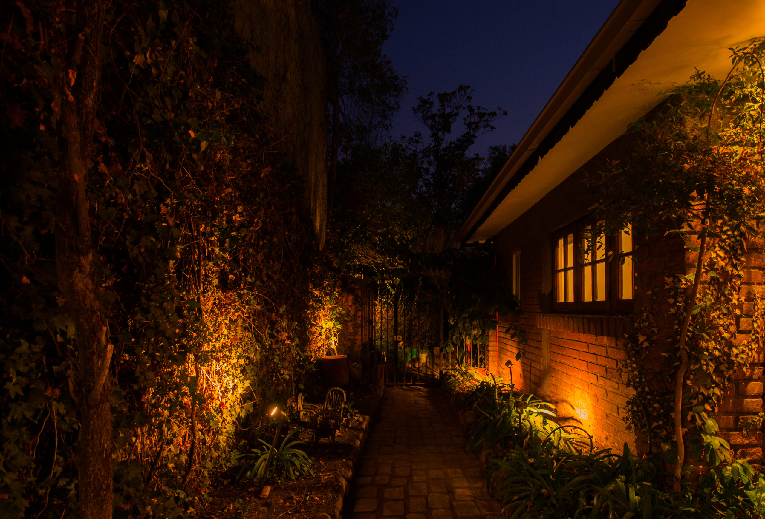 Casa MS - Darqlight